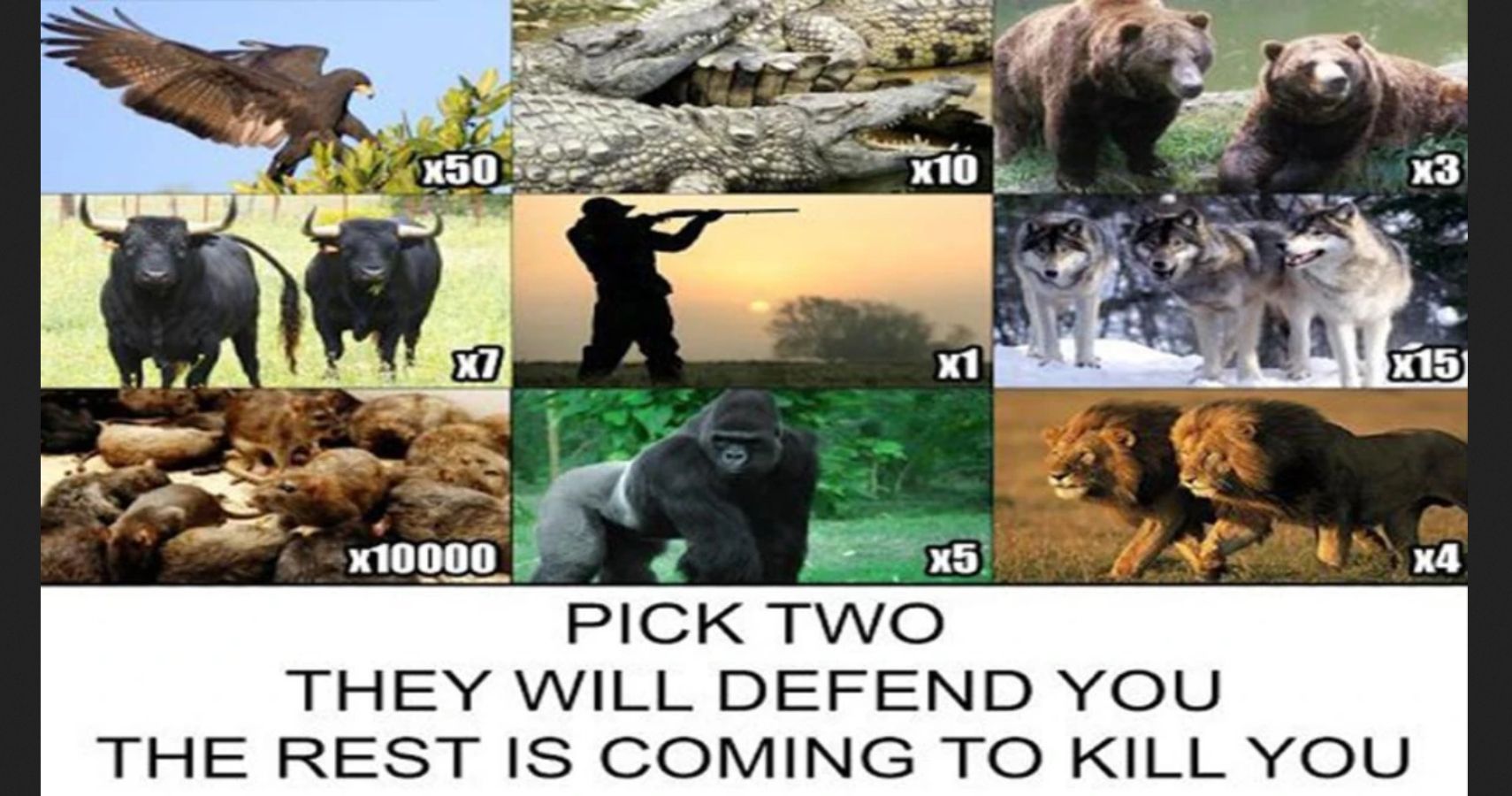 Solving The "Pick Two" Meme With Math And D&D | TheGamer