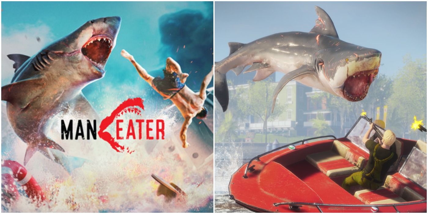 Maneater: A Guide To Shark Combat | TheGamer